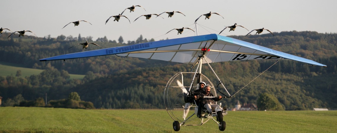 Voler avec les oiseaux - Cabanes arbres Cantal