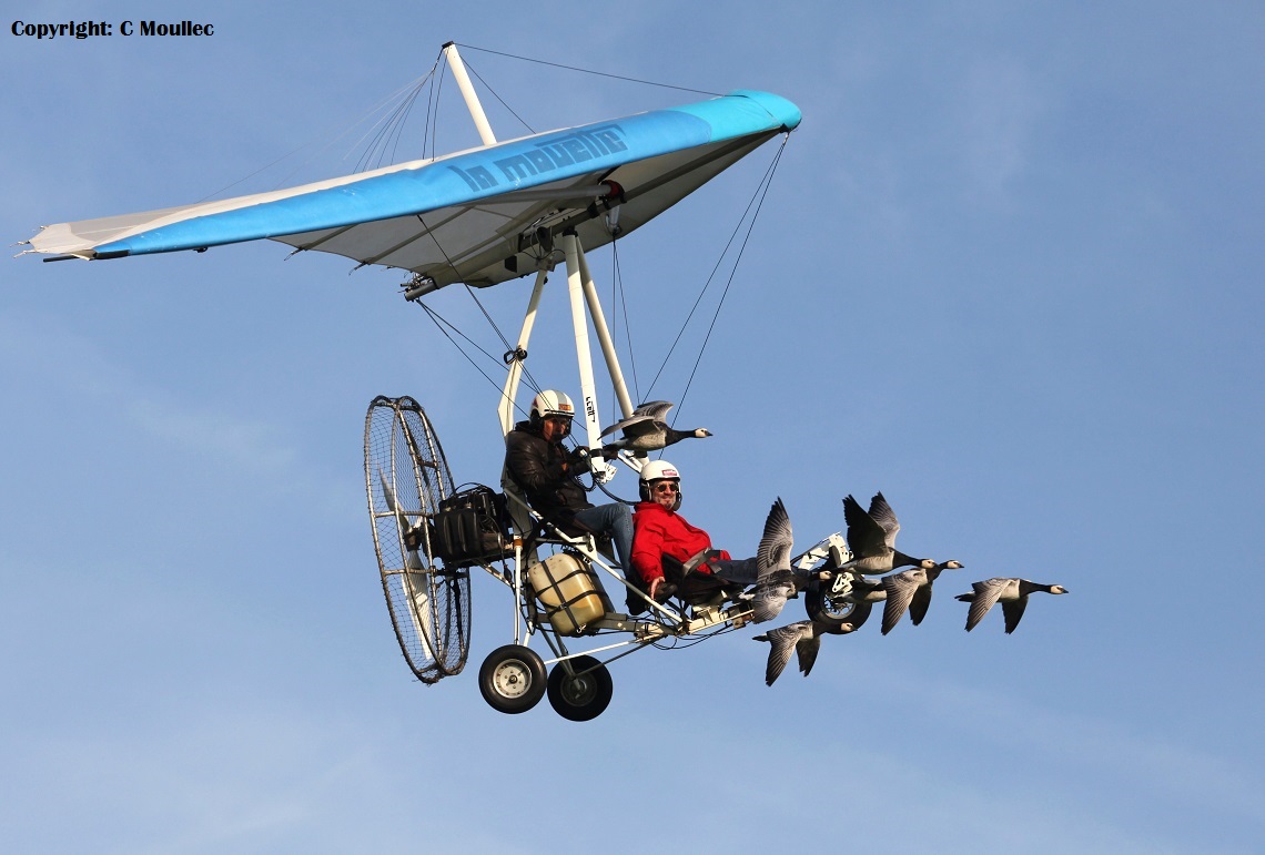 Vol en Ulm avec les oiseaux | Voler avec les oiseaux - Cabanes arbres ...